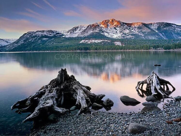 Ancient Shoreline, Alpenglow, Fallen Leaf Lake - Marcus Ashley Gallery