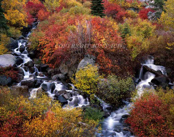 Echo Falls, Lake Tahoe - Marcus Ashley Gallery