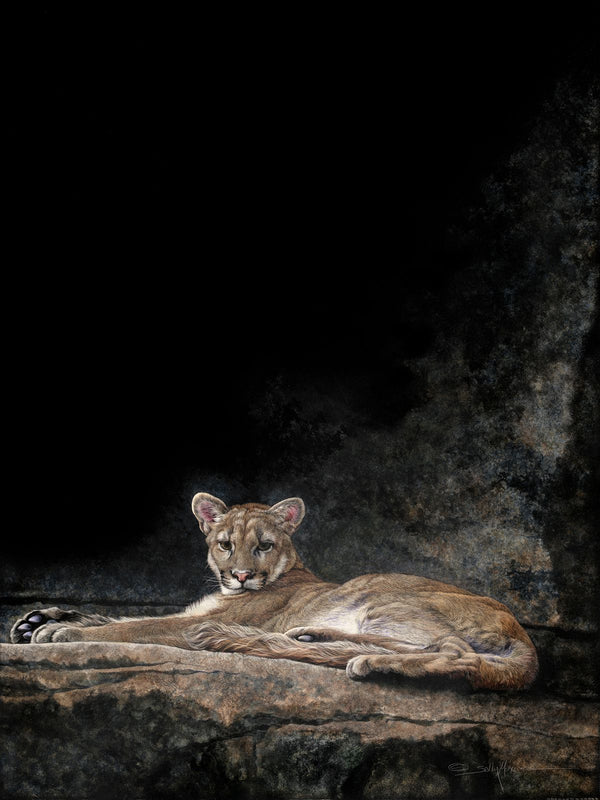 Laying Low - Marcus Ashley Gallery