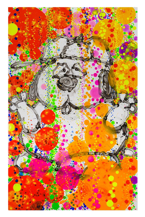 Tangerine Scream - Marcus Ashley Gallery