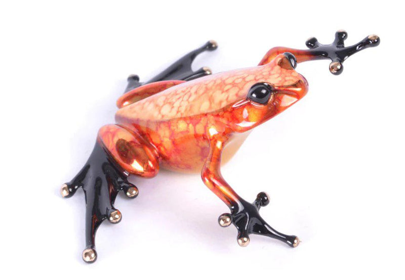 Tim Cotterill “Frogman” Art | Browse Marcus Ashley Gallery